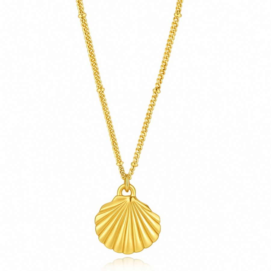Georgina Shell Pendant Necklace - Ellie Vail Jewelry