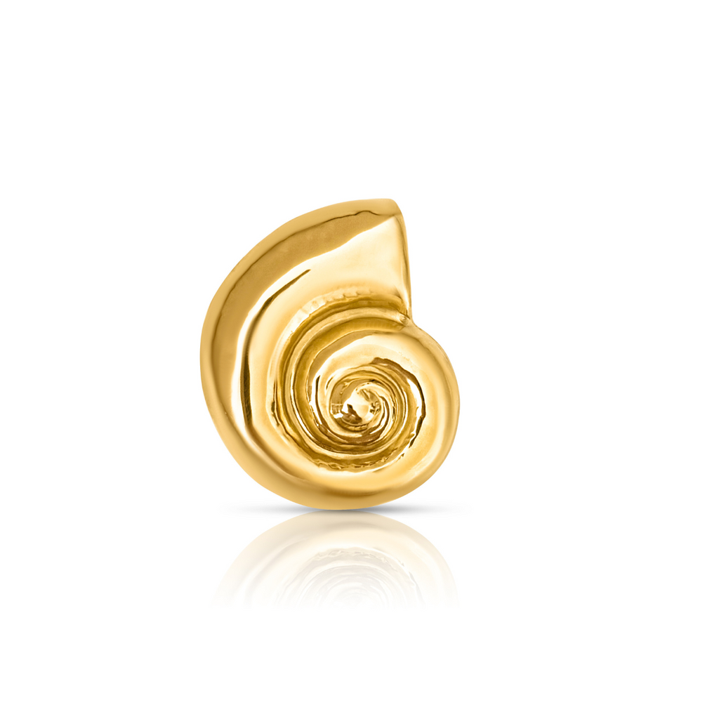Pamela Shell Brooch – Ellie Vail