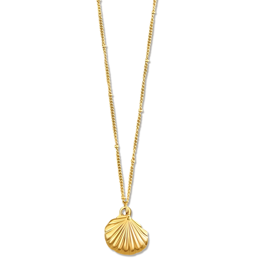 Georgina Shell Pendant Necklace - Ellie Vail Jewelry